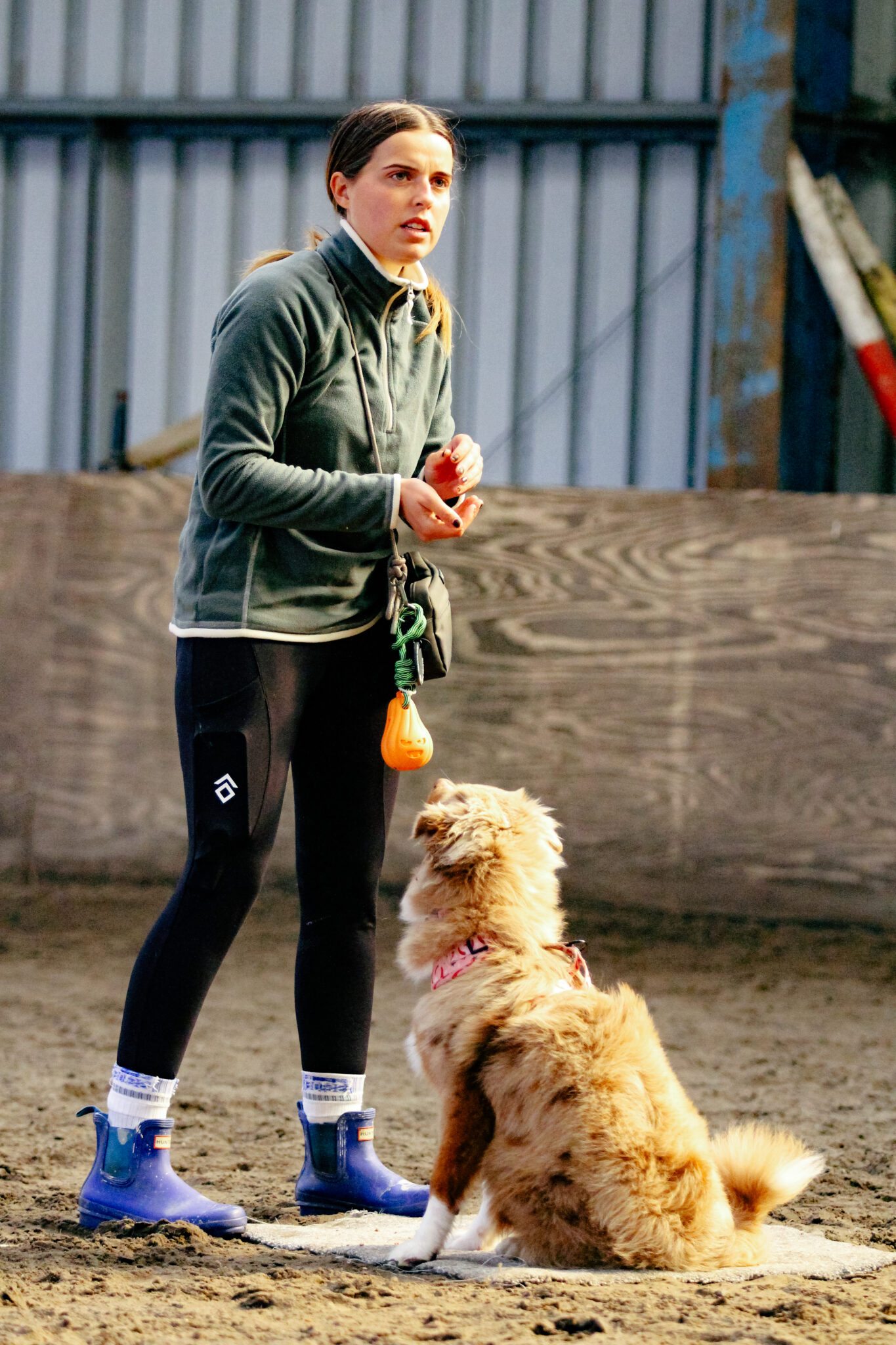 Raising the Bar in an Unregulated World: Essential Canine Life Skills Dog Trainer Qualification ...